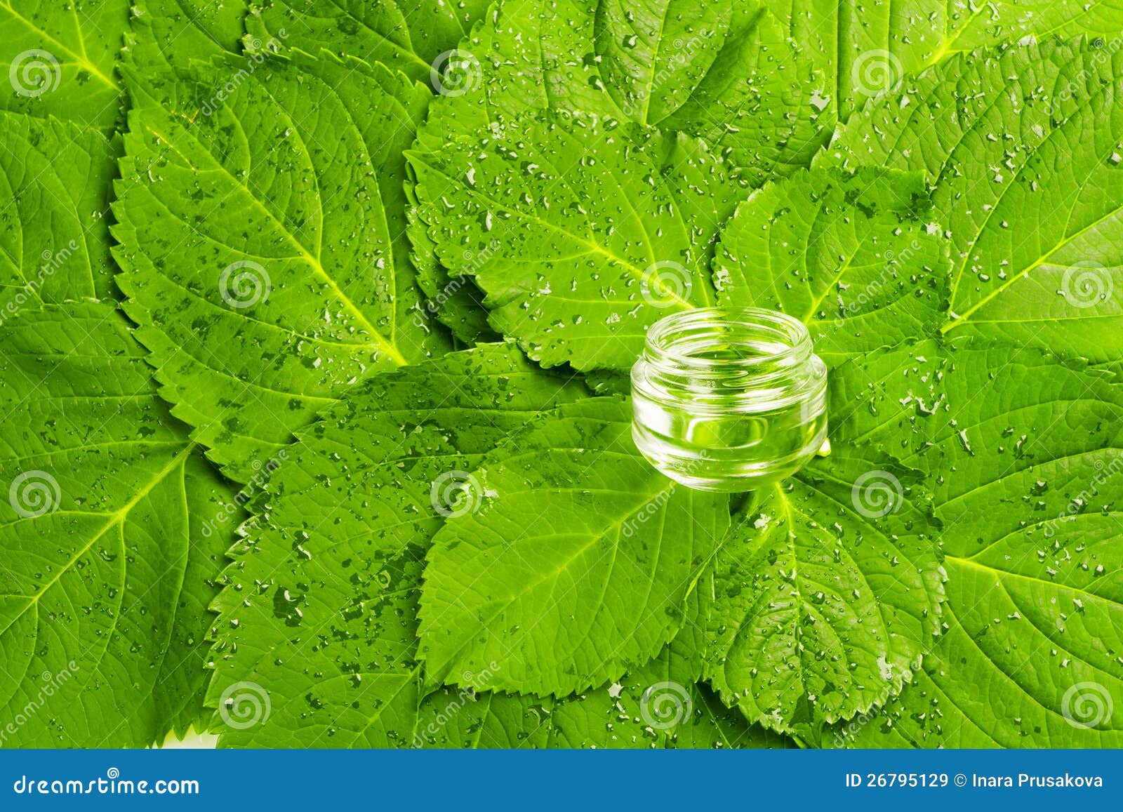 Empty Jar Over Green Leaves Background Stock Image - Image of ...