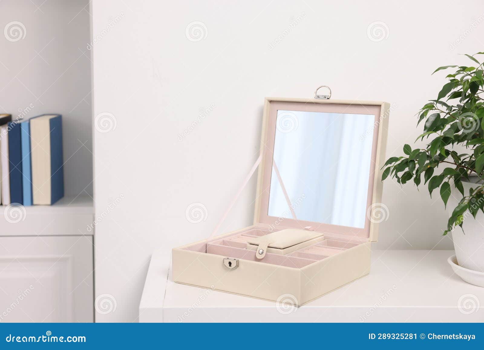 Empty Jewelry Box with Mirror and Houseplant on White Table Stock Image ...