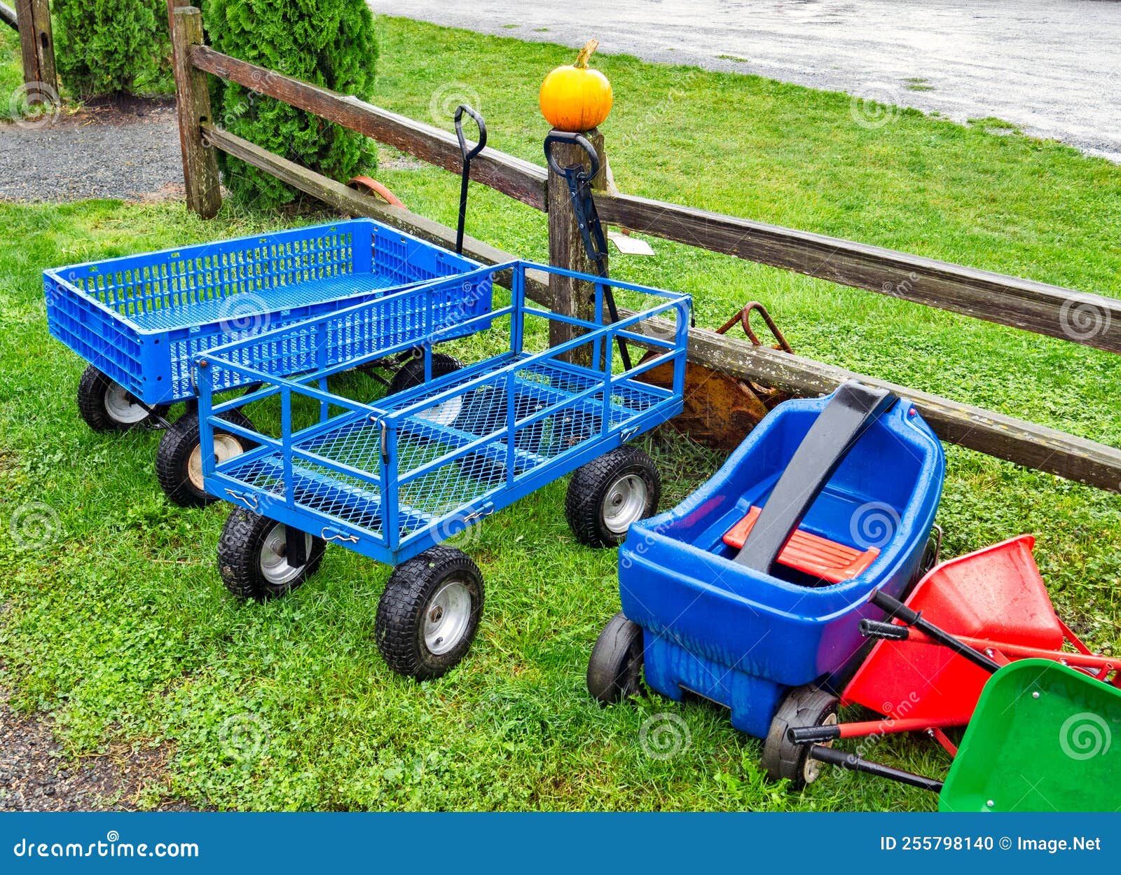 Empty Kid S Carts on Rainy Day on the Farm Stock Photo - Image of ...