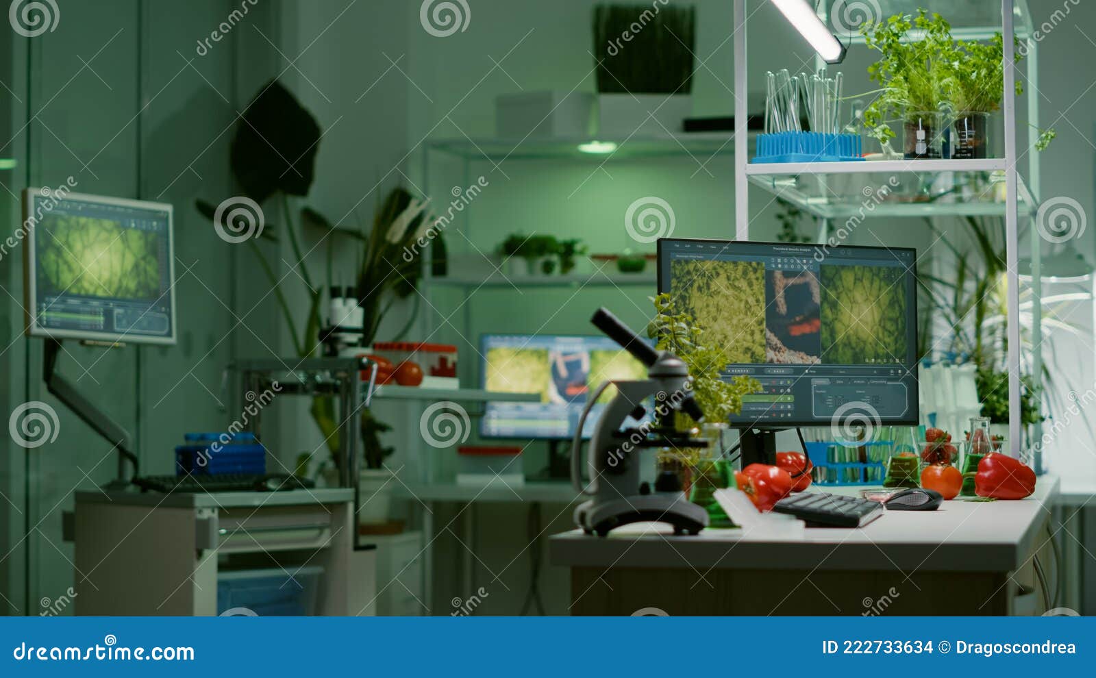 Empty Laboratory with Nobody in it Prepared for Genetic Test Stock ...