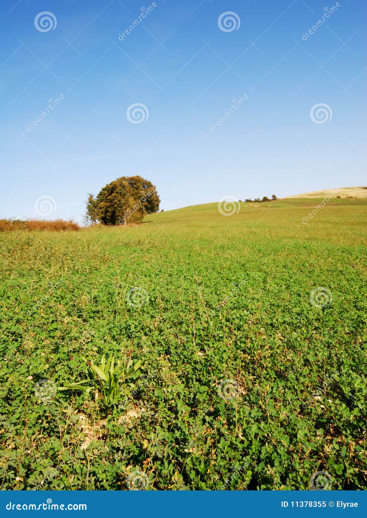 Empty land stock image. Image of blue, clear, daylight - 11378355