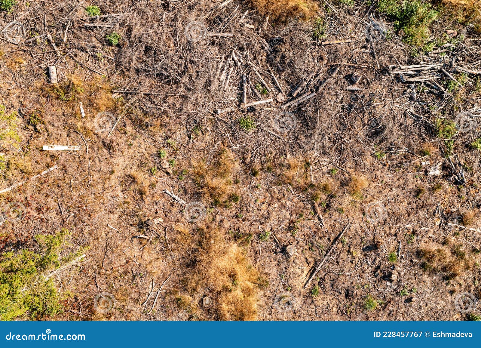 Empty Land in the Place of a Deforestation Aerial Top View Stock Image ...