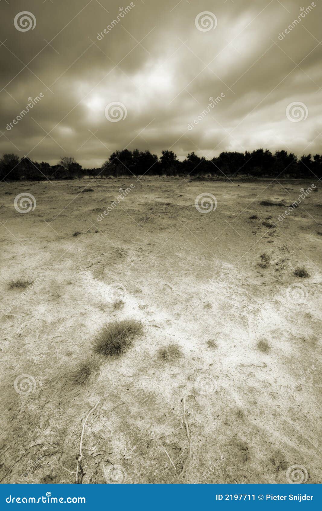 Empty landscape stock image. Image of landscape, lonely - 2197711