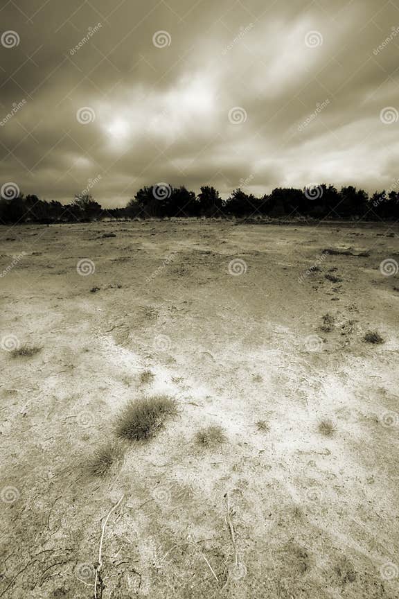 Empty landscape stock image. Image of landscape, lonely - 2197711