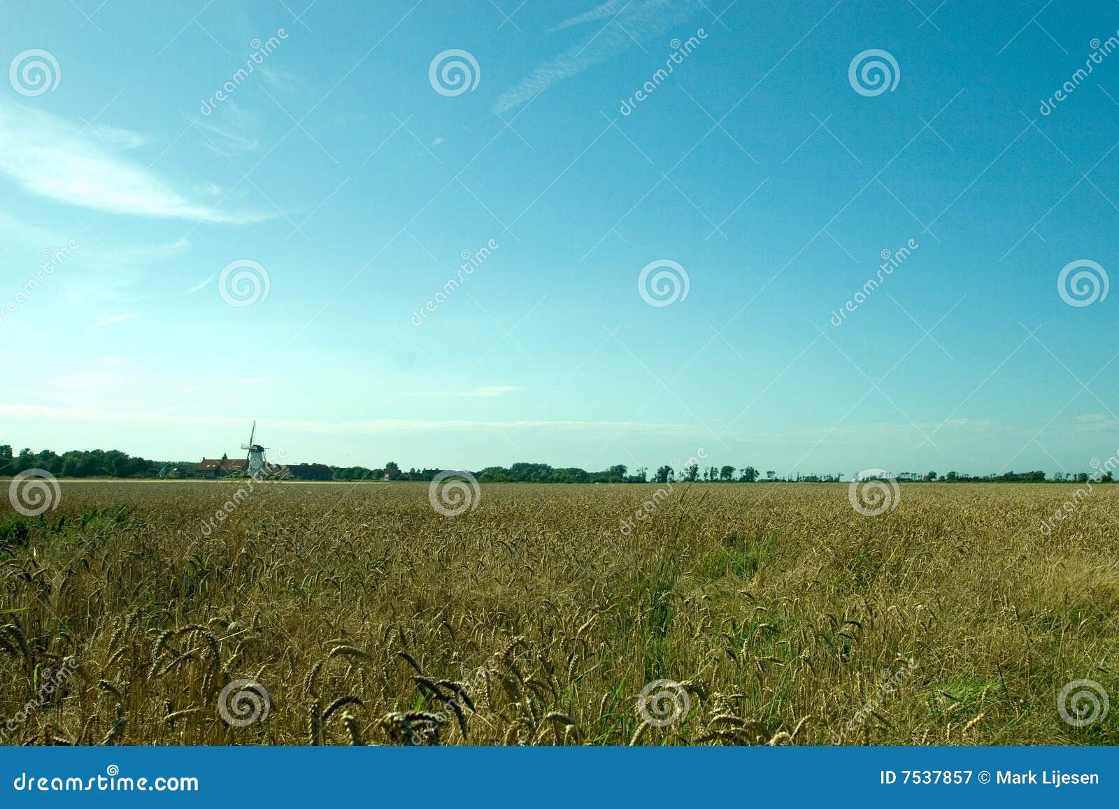 Empty landscape stock image. Image of deserted, empty - 7537857