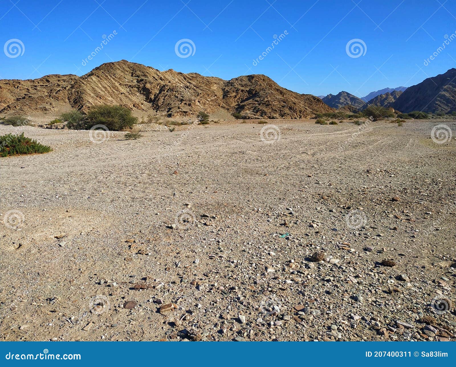 Empty Landscape Dry Desert Harsh Environment Stock Image - Image of ...