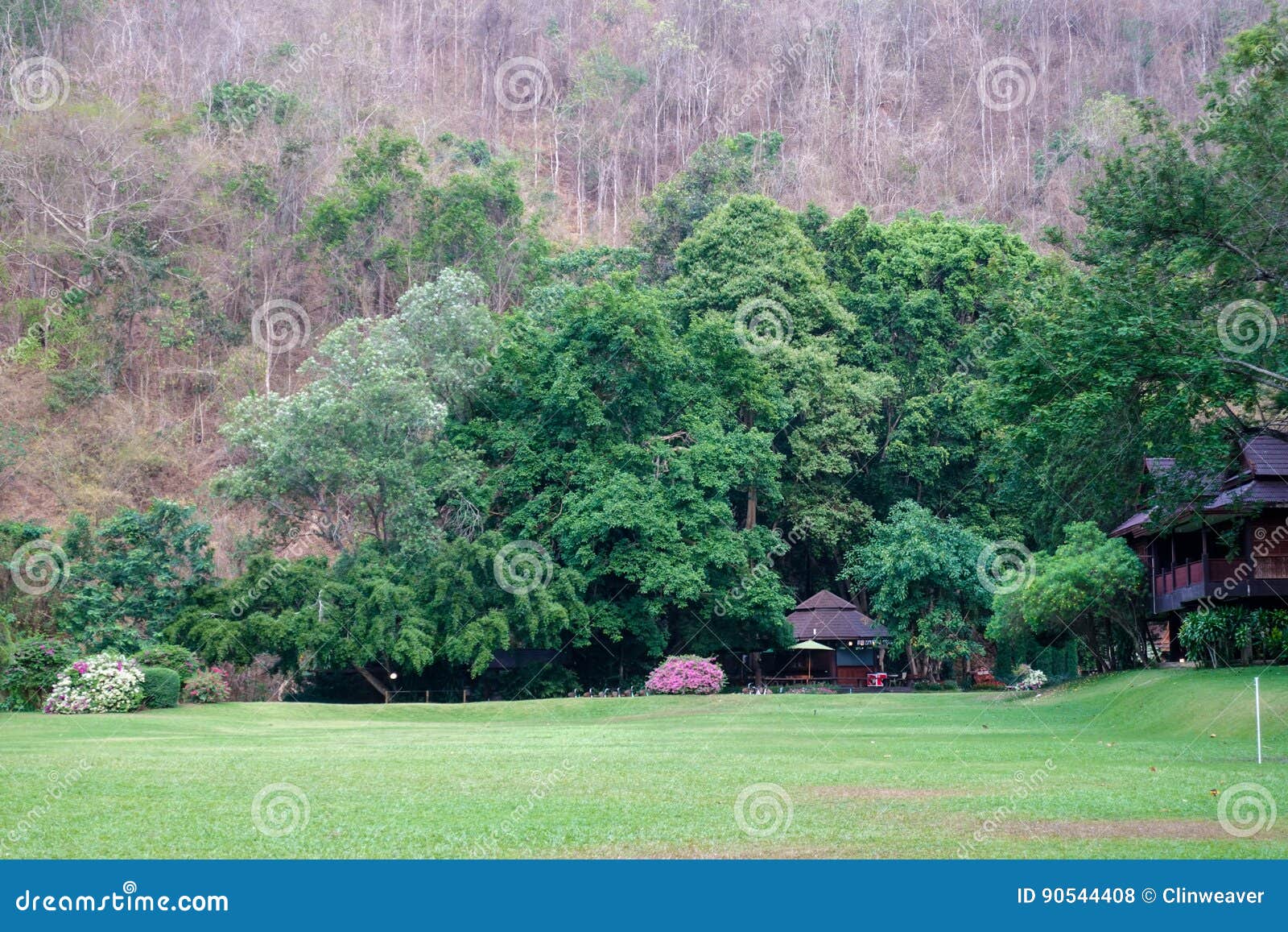 Empty Lawn and Buildings stock photo. Image of empty - 90544408