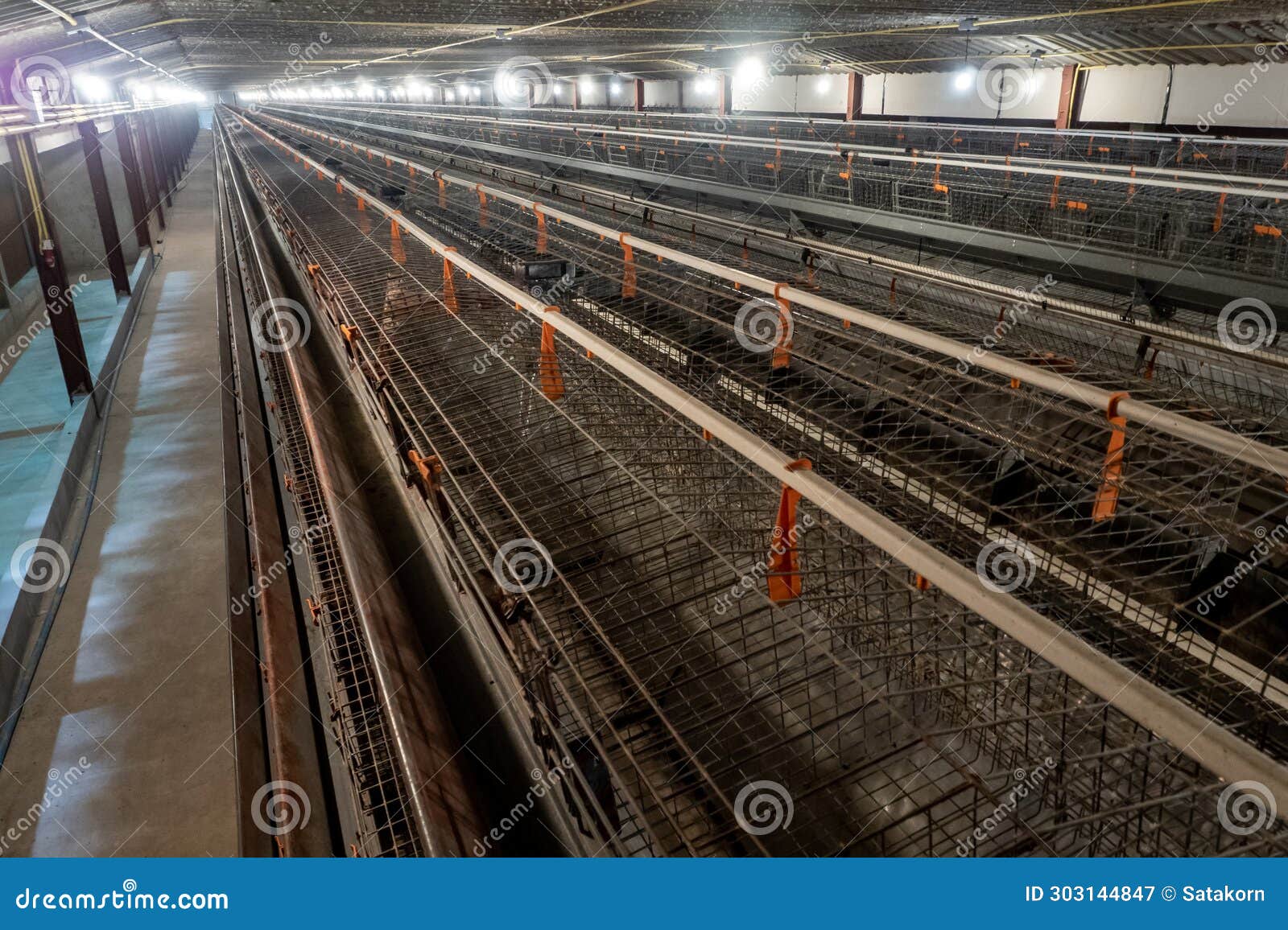 The Old Laying Cages in the Chicken Farm Stock Image - Image of indoor ...