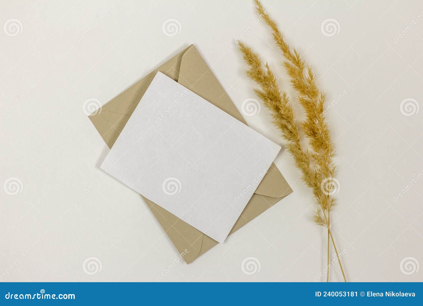 Empty Layout of a Greeting or Invitation Card on a Light Background ...