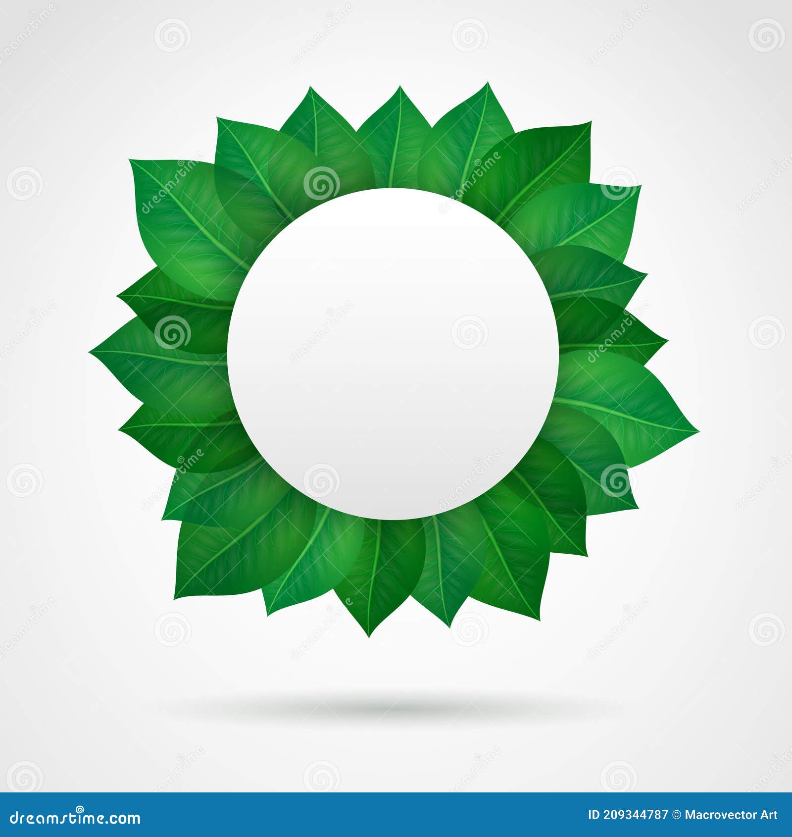 Empty leaves frame stock vector. Illustration of freshness - 209344787