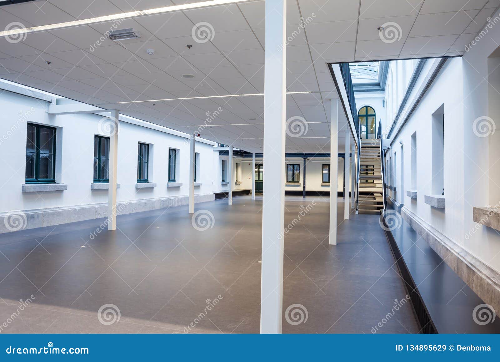An empty library corridor stock image. Image of square - 134895629