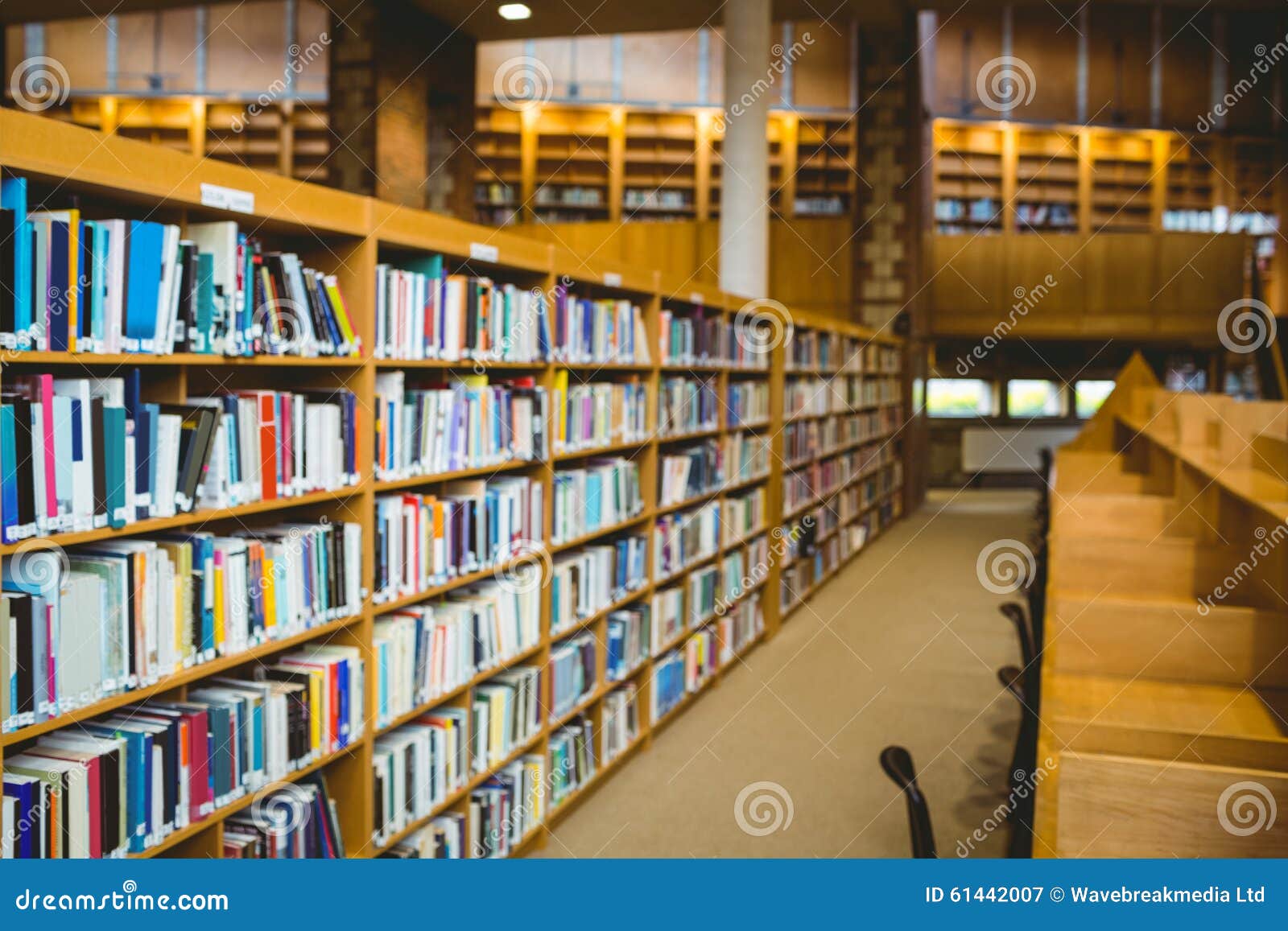 Empty library stock image. Image of chair, bookcase, chairs - 61442007