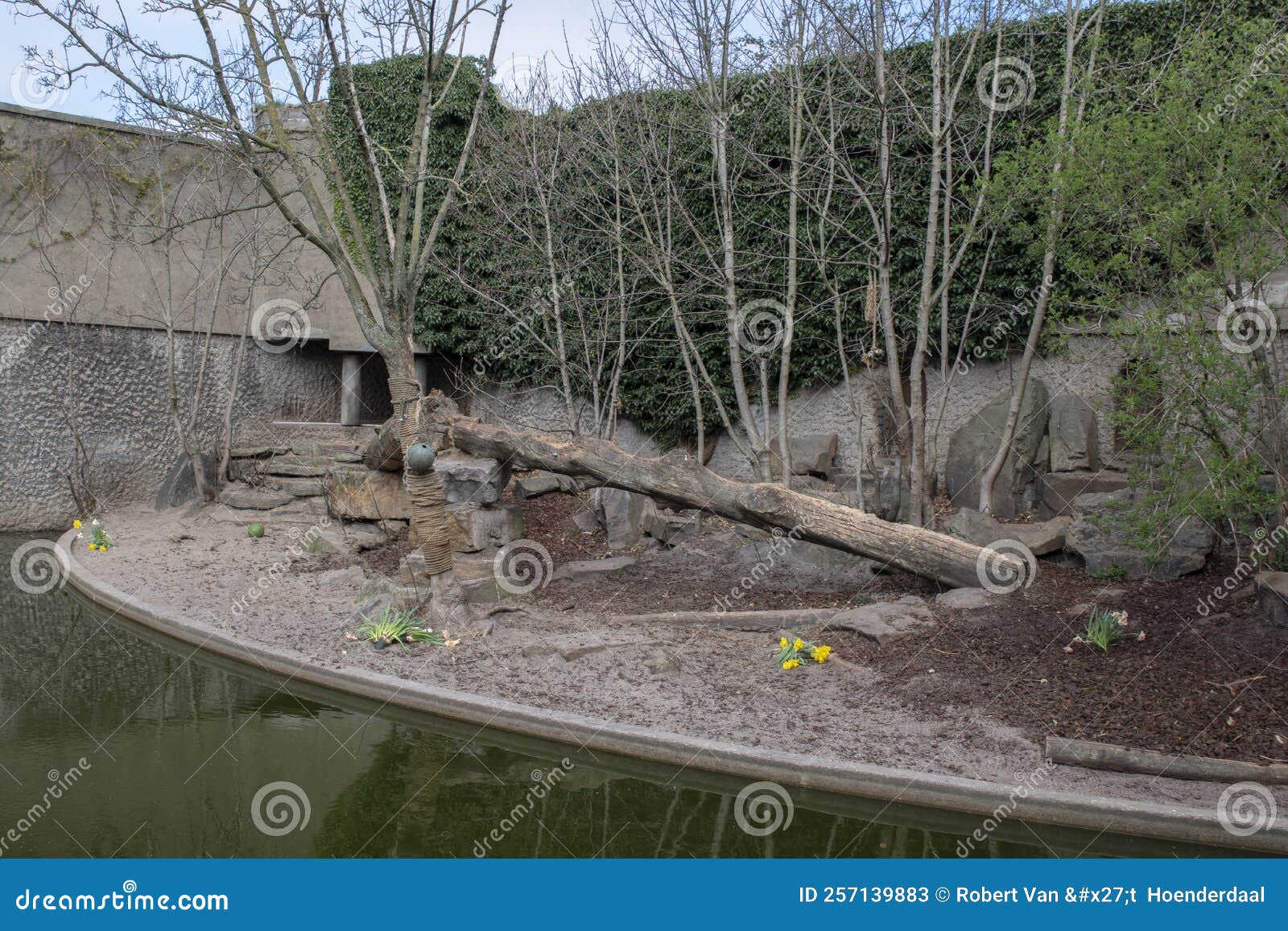 Empty Lion Cage at Amsterdam the Netherlands 28-3-2022 Editorial Stock ...