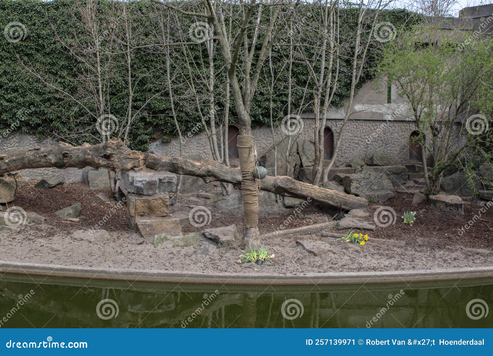 Empty Lion Cage at Amsterdam the Netherlands 28-3-2022 Editorial Photo ...