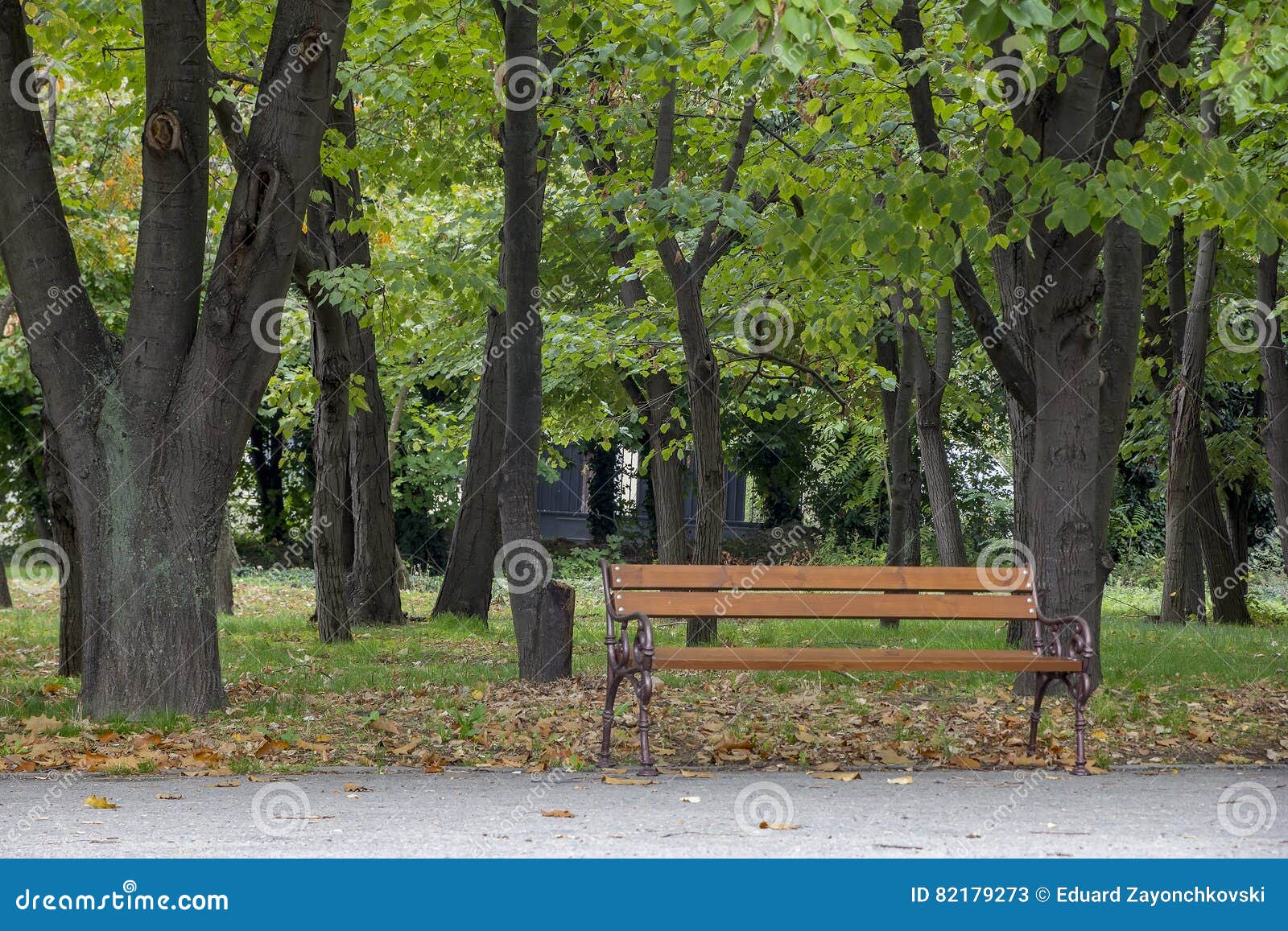 Empty lonely bench stock image. Image of golden, bench - 82179273