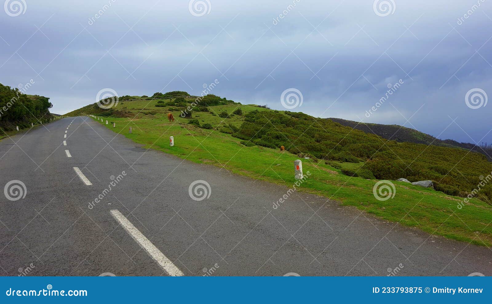 Empty Lonely Bench, Trees And Grass Field In A Sunny Morning At Sanjay ...