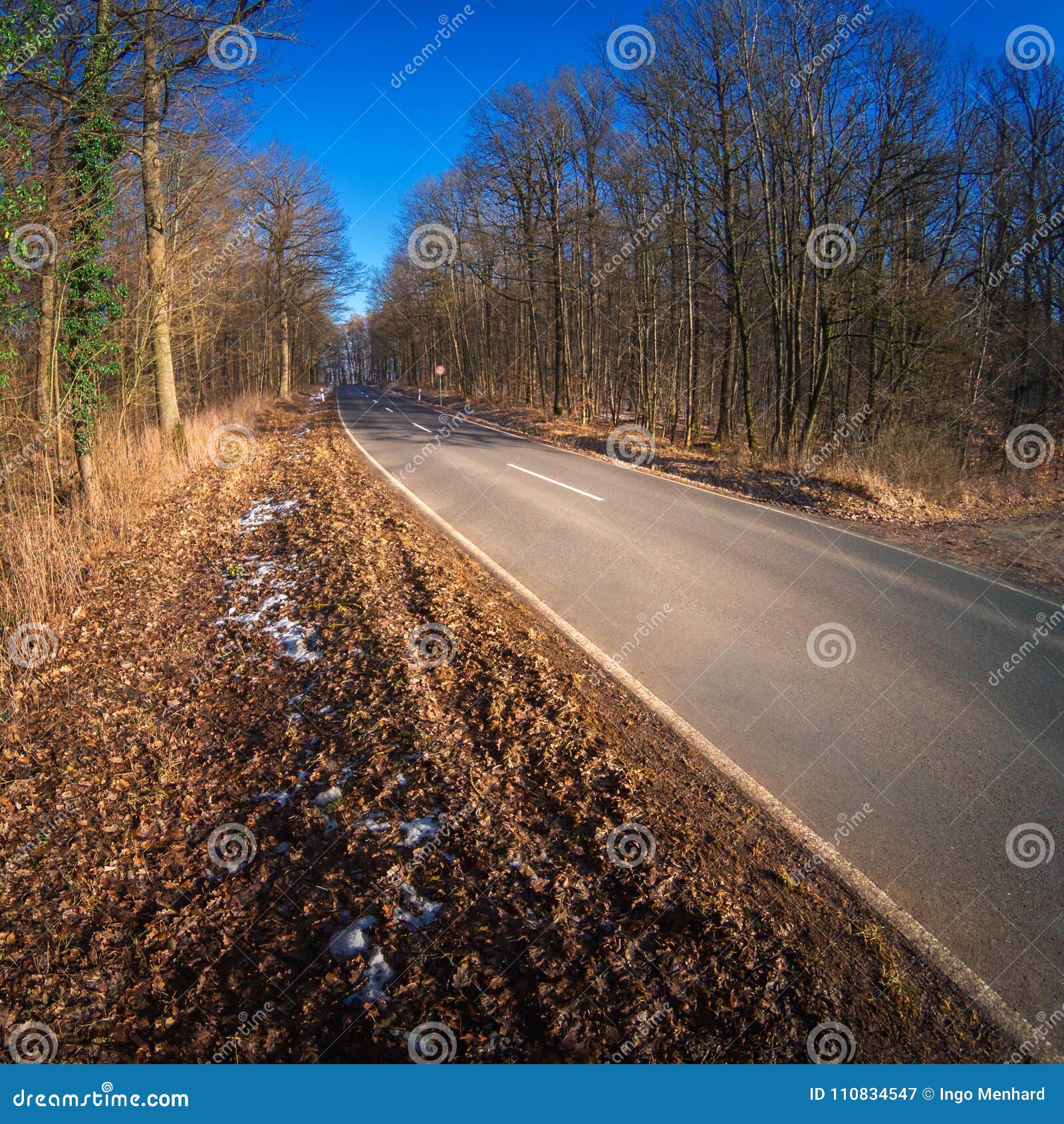 Empty and Long Road Leads Deep into the Forest Stock Image - Image of ...