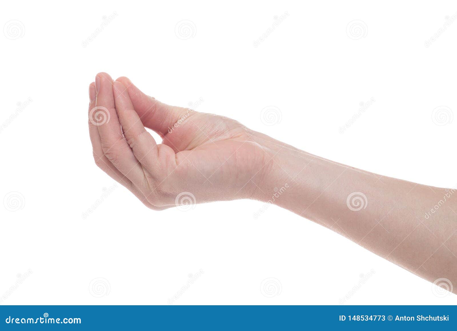 Empty Male Hand Making Gesture Like Holding Something Isolated on White ...