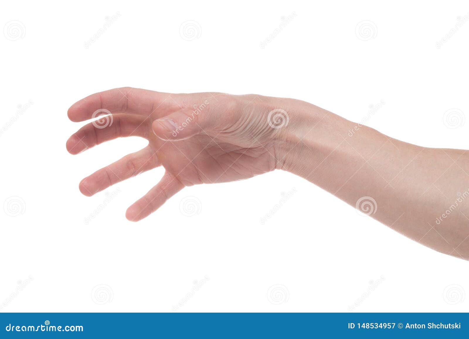Empty Male Hand Making Gesture Like Holding Something Isolated on White ...