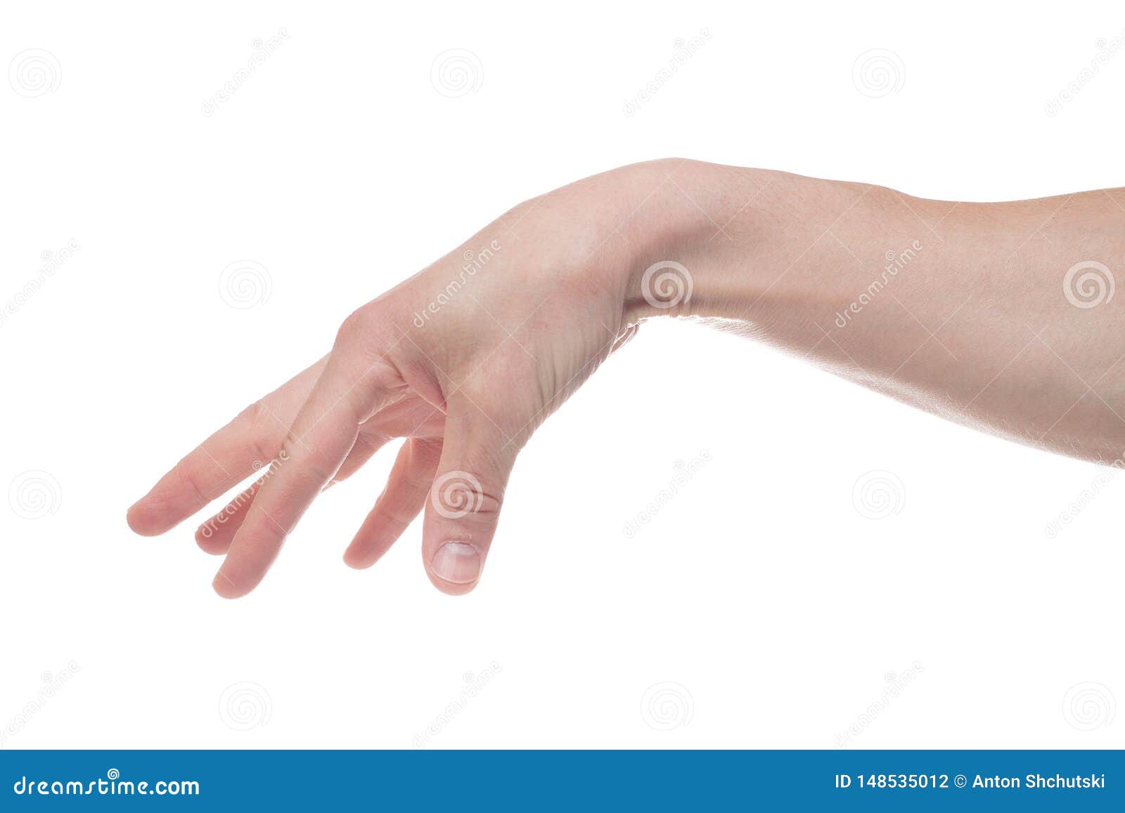 Empty Male Hand Making Gesture Like Holding Something Isolated on White ...