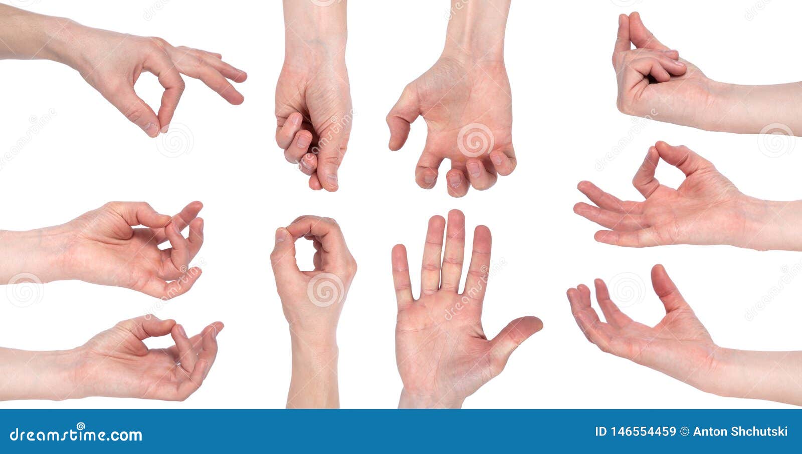 Empty Male Hand Making Gesture Like Holding Something Isolated on White ...