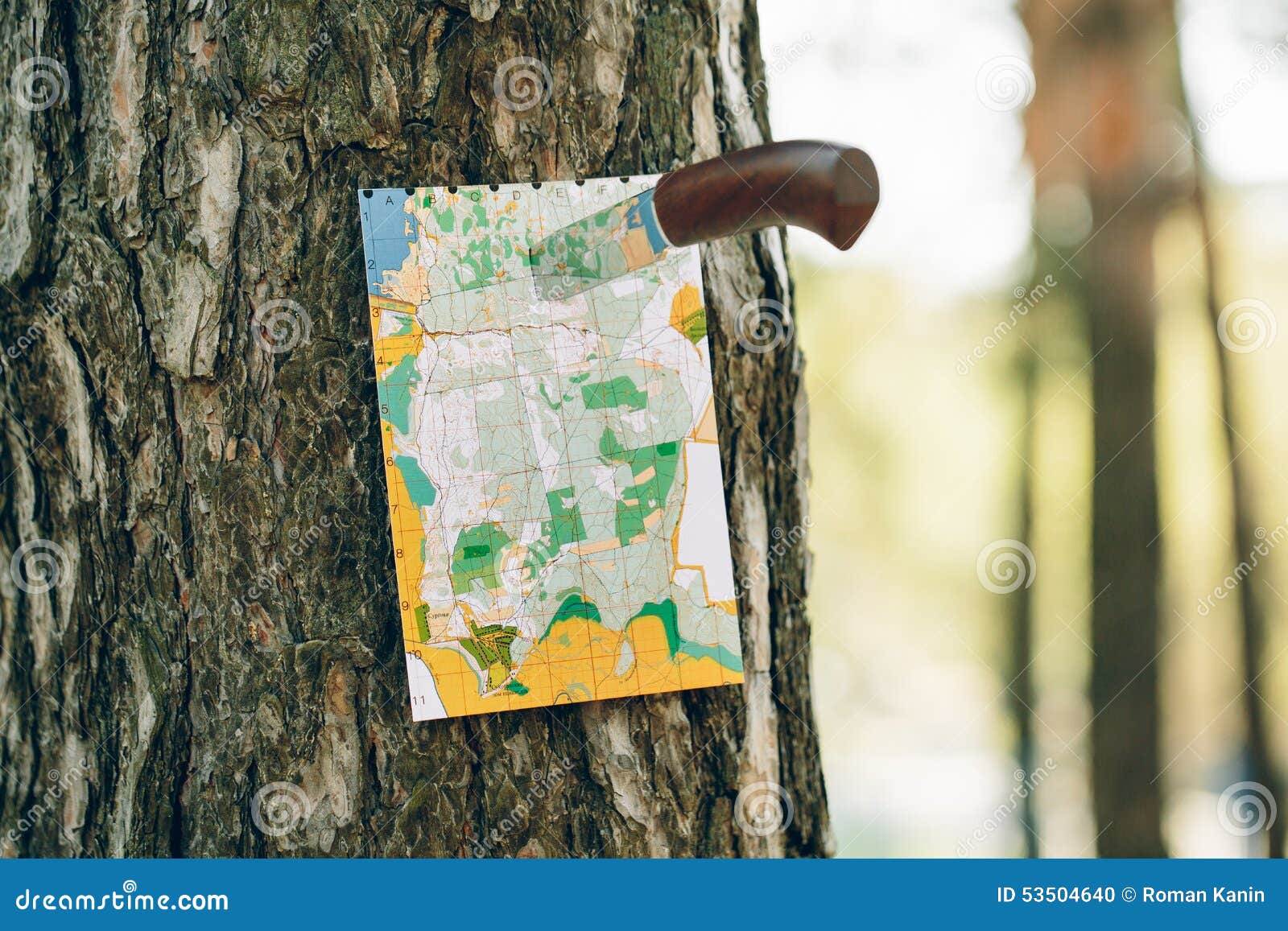 Empty Map Stuck into a Tree with a Knives Stock Photo - Image of ...