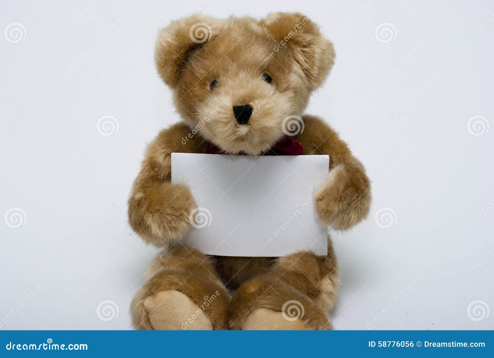 Empty message teddy bear stock photo. Image of animals - 58776056