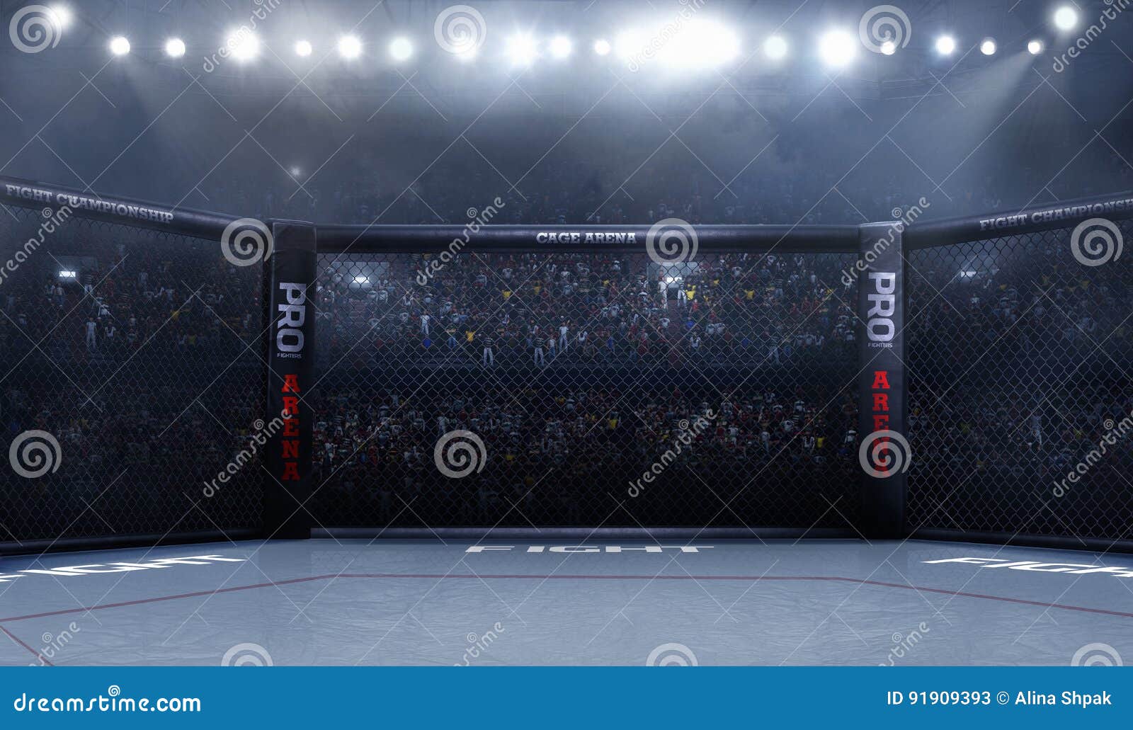 Empty Mma Arena Stock Photos - Free & Royalty-Free Stock Photos from ...