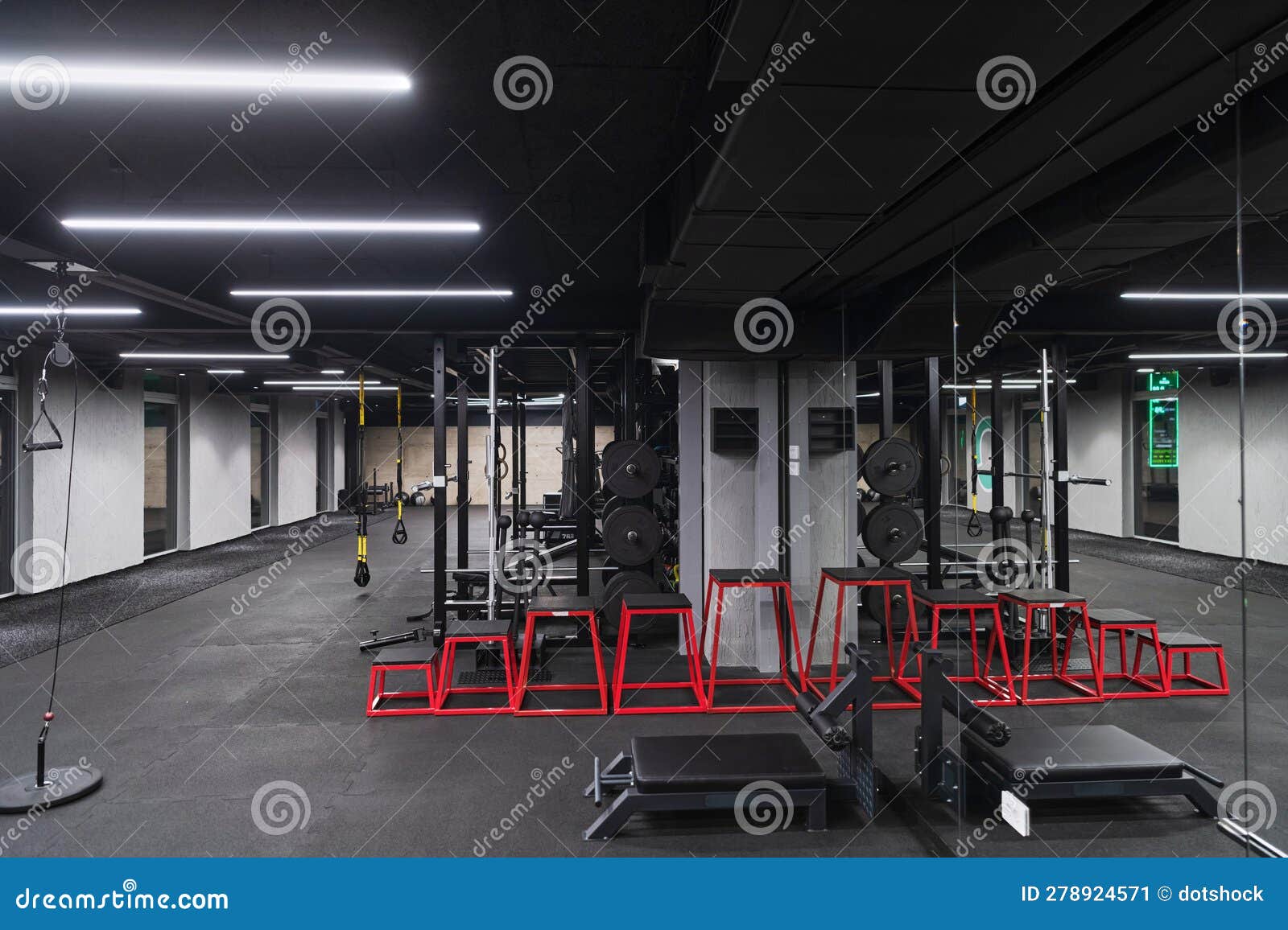 An Empty Modern Gymnasium with a Variety of Equipment, Offering a ...