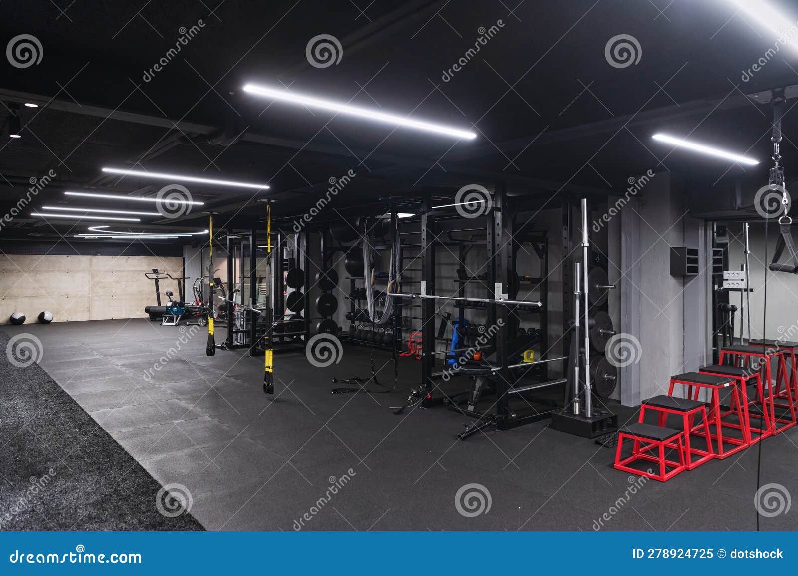An Empty Modern Gymnasium with a Variety of Equipment, Offering a ...