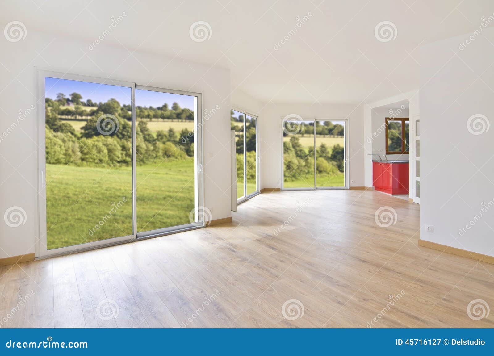 Empty Modern House Interior Stock Image - Image of house, wide: 45716127