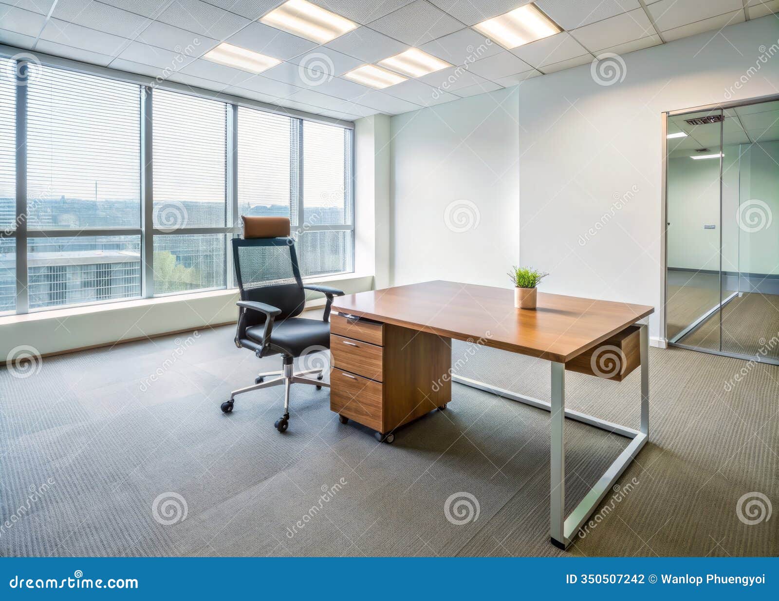 Empty Modern Office Space Minimalist Design Vacant Workspace and ...