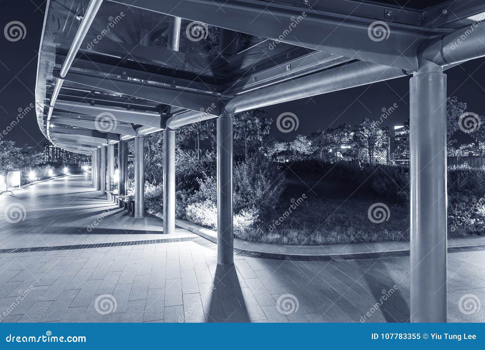 Empty Modern Pedestrian Walkway Stock Image - Image of pedestrian ...