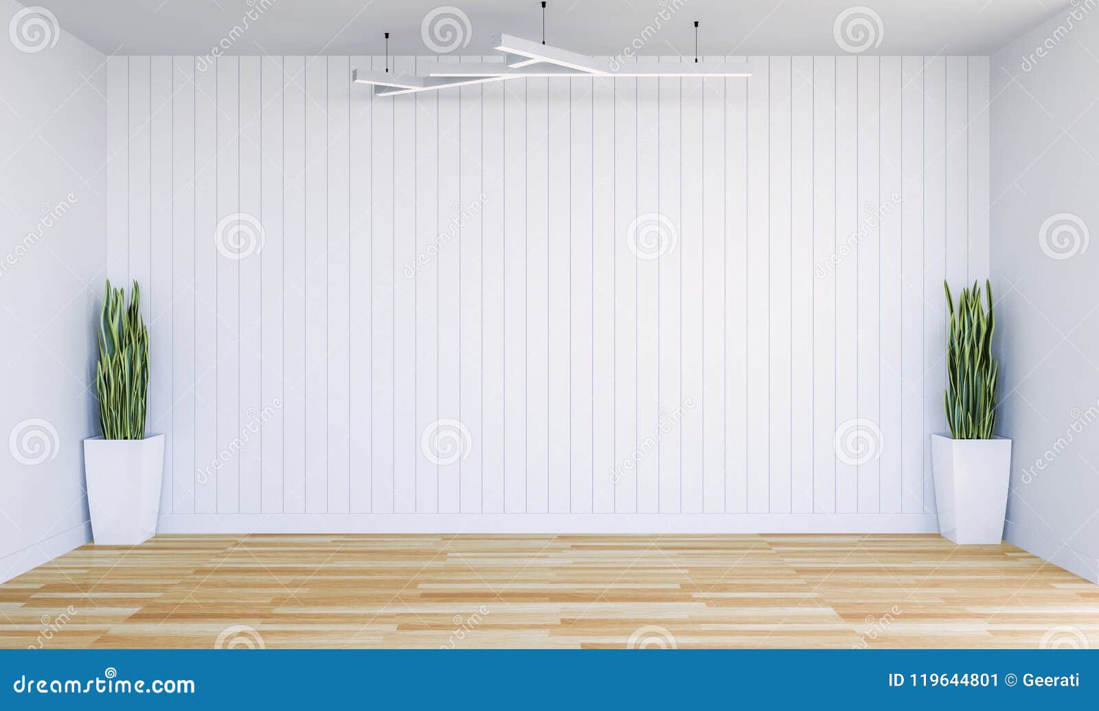 Empty Modern Room with White Wall Panel and Decorative Plants Stock ...