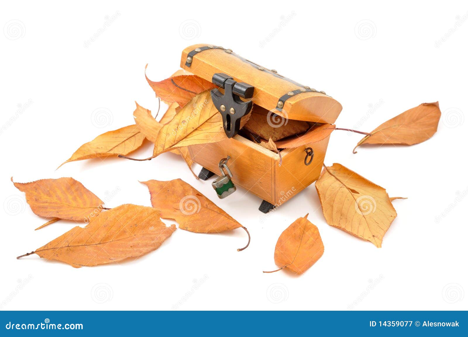 Empty money box stock image. Image of lost, coffer, safe - 14359077