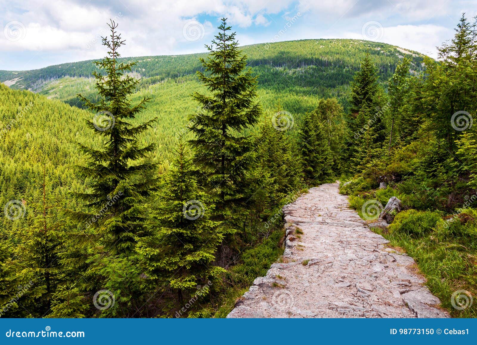 Empty Mountain Hiking Trail Stock Photo - Image of stone, tranquil ...