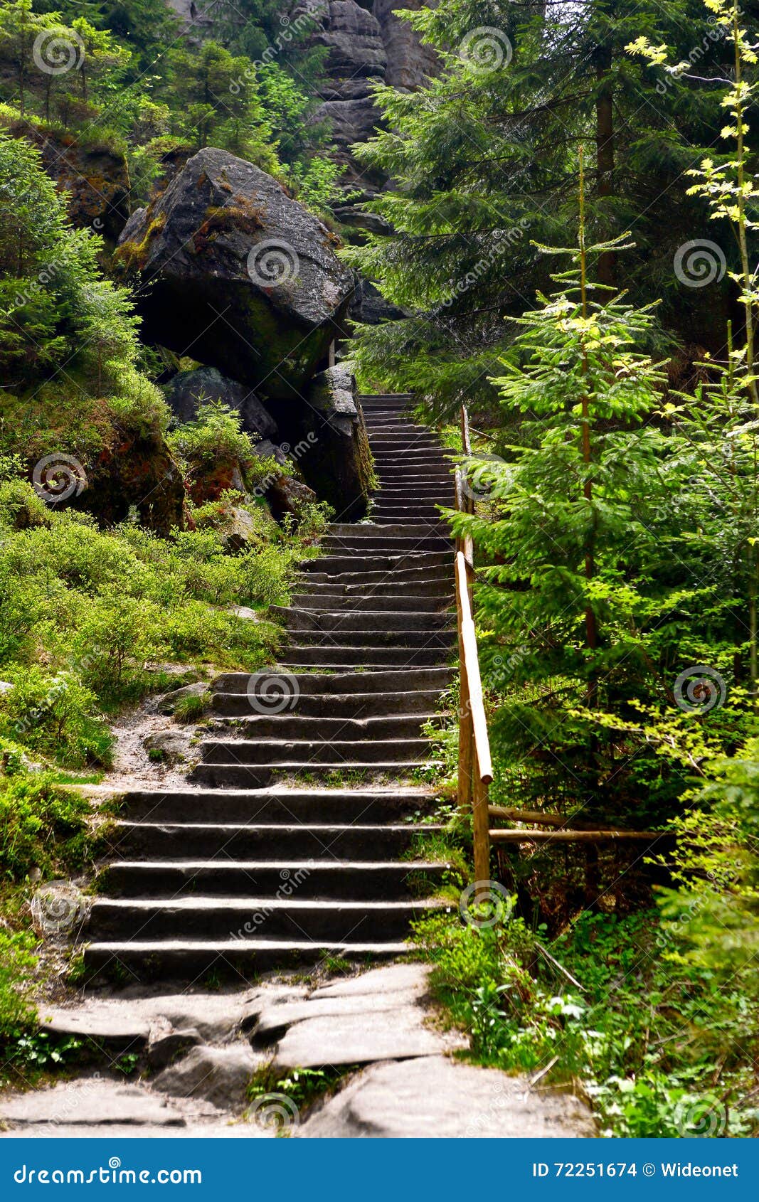Empty Mountain Trail in Green Forest Stock Photo - Image of forest ...