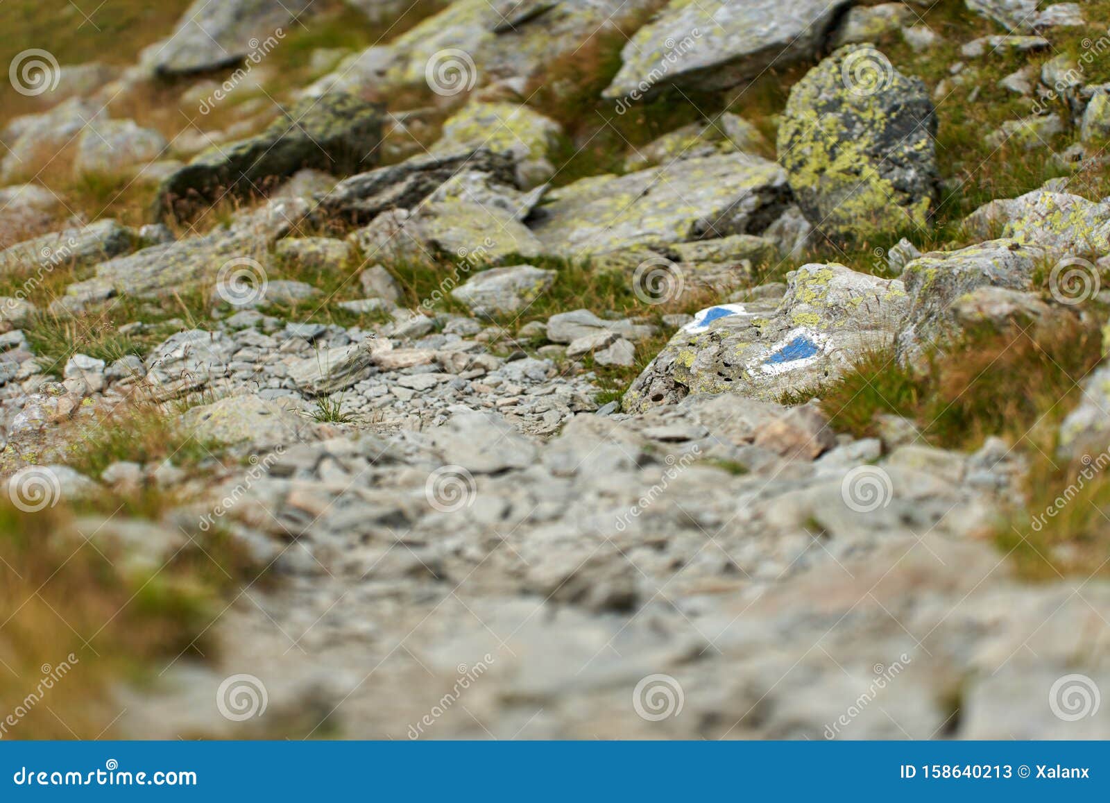 Empty mountain trail stock image. Image of tourism, nature - 158640213