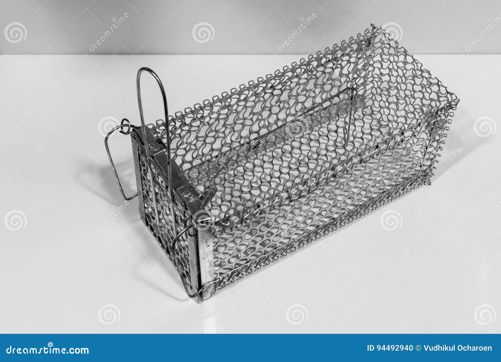 Empty mouse trap stock photo. Image of incentive, pest - 94492940