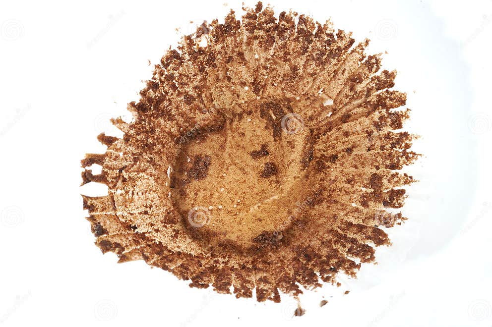 Empty Muffin Case stock image. Image of choco, gone, crumbs - 4674333