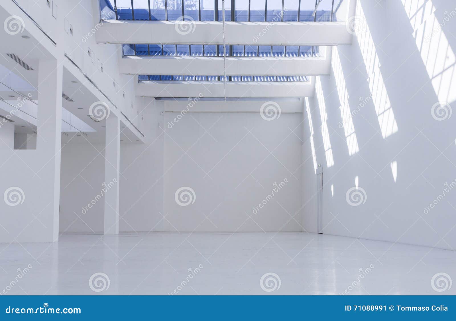 Empty Museum Hall Interiors Stock Image - Image of light, hall: 71088991