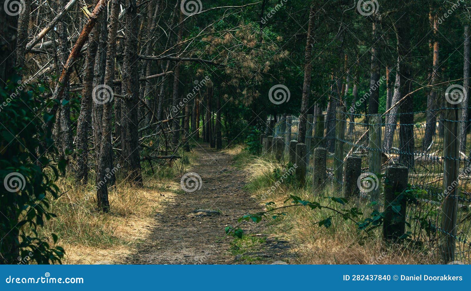 Empty Mysterious Path in the Darkness Next To a Barbed Wire Fence Stock ...