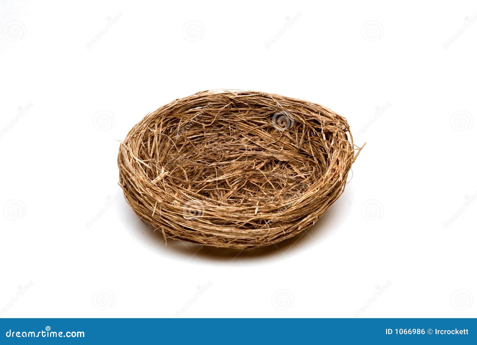 Empty Nest stock photo. Image of white, isolated, empty - 1066986