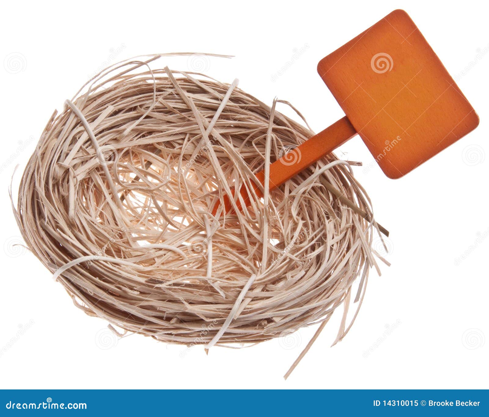 Empty Nest stock image. Image of sign, empty, isolated - 14310015