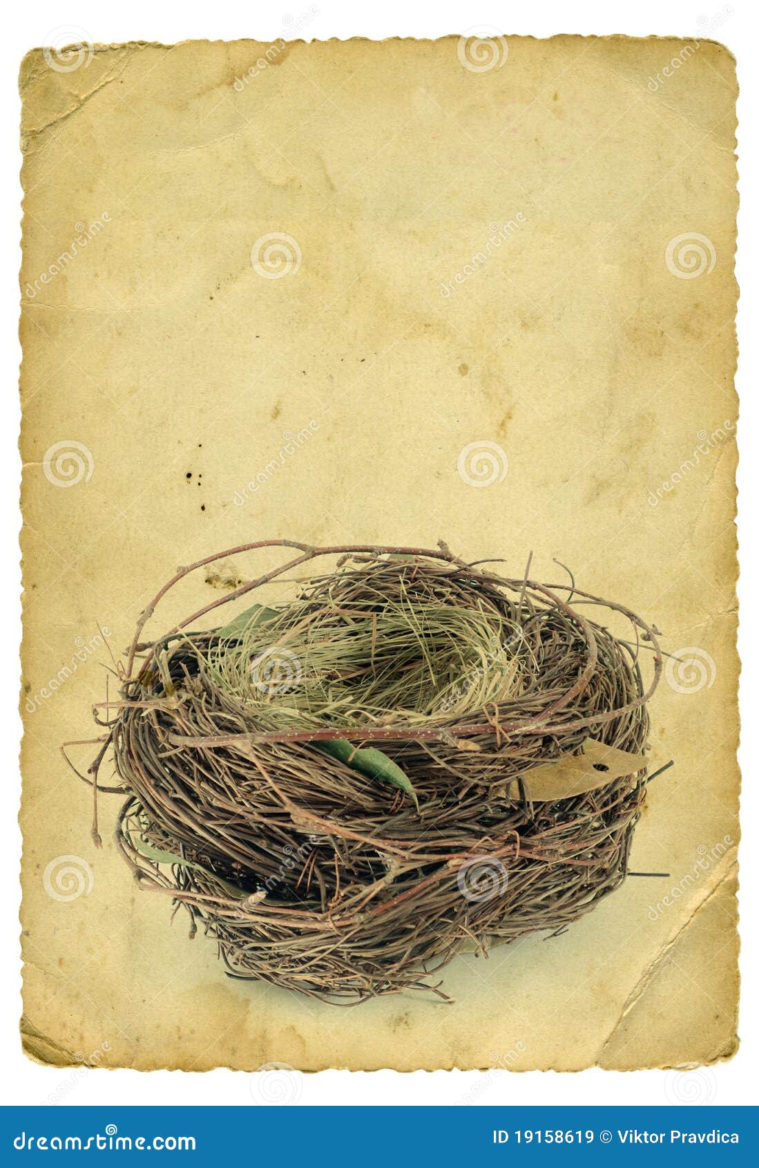 Empty nest stock image. Image of nest, layer, vintage - 19158619