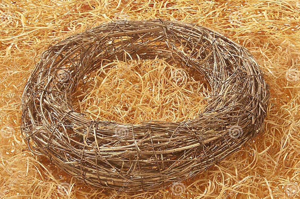 Empty nest stock image. Image of empty, symbol, burrow - 23794089