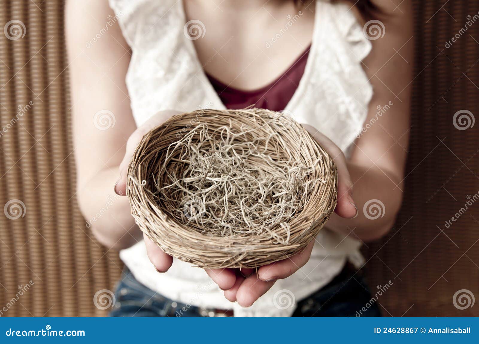 Empty nest stock image. Image of leaving, home, fragile - 24628867
