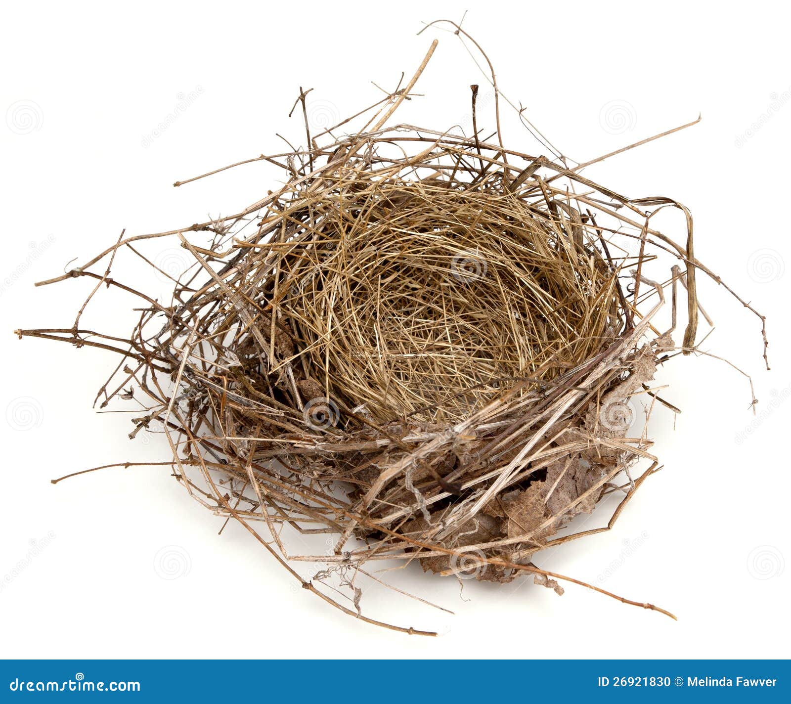 Empty Nest stock photo. Image of unused, background, vacant - 26921830