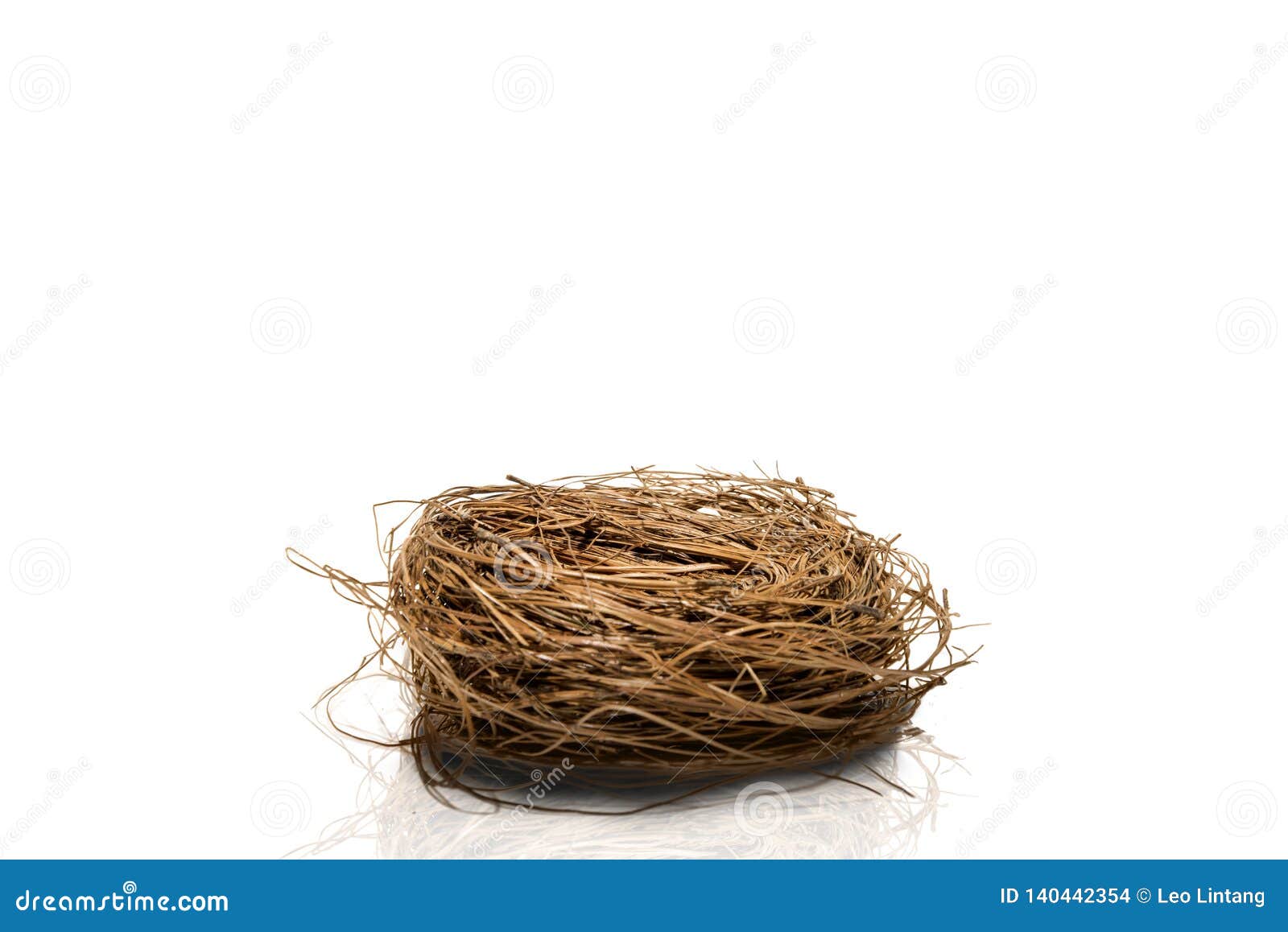 Empty nest stock photo. Image of brown, easter, straw - 140442354