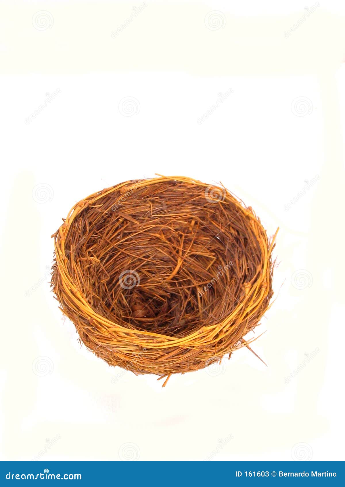 Empty Nest over white stock image. Image of home, gone - 161603